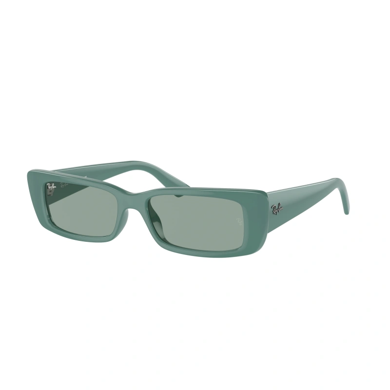 RAY BAN TERU Sunčane naočare 0RB4425 676282 54