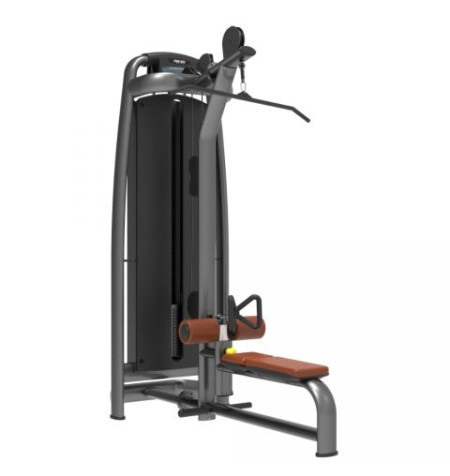 Ring Dual RP ELG-20 Lat pull down-Low Row (2 u 1-lat masina i donje veslanje)