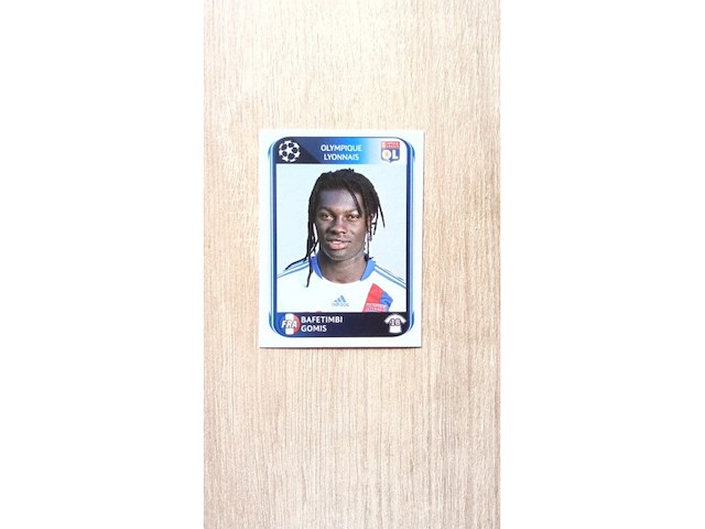 Liga šampiona 2010/11 Panini broj 88 088