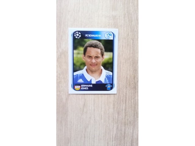 Liga šampiona 2010/11 Panini broj 115