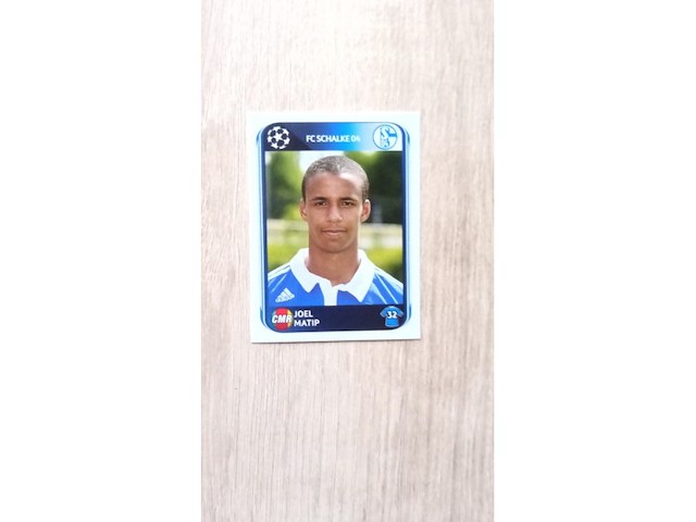 Liga šampiona 2010/11 Panini broj 114