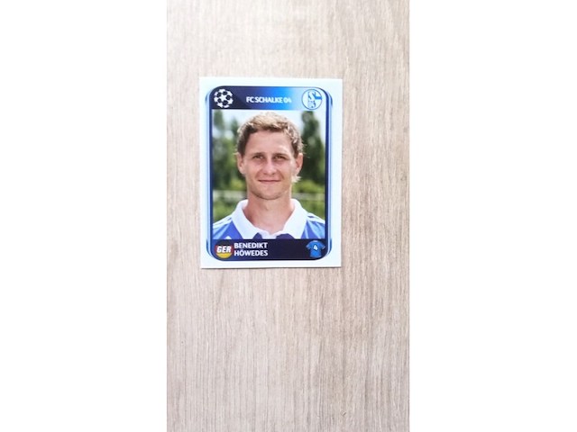 Liga šampiona 2010/11 Panini broj 109