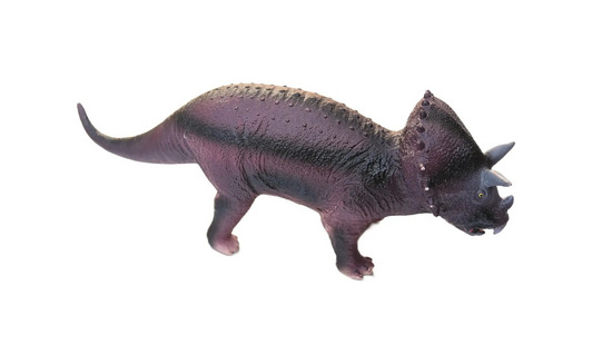 Triceratops gumeni dinosaurus