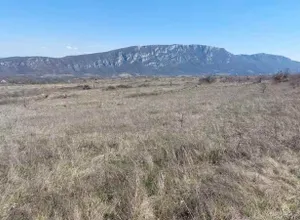 Prodaja Građevinsko zemljište - Zaječar, Centar