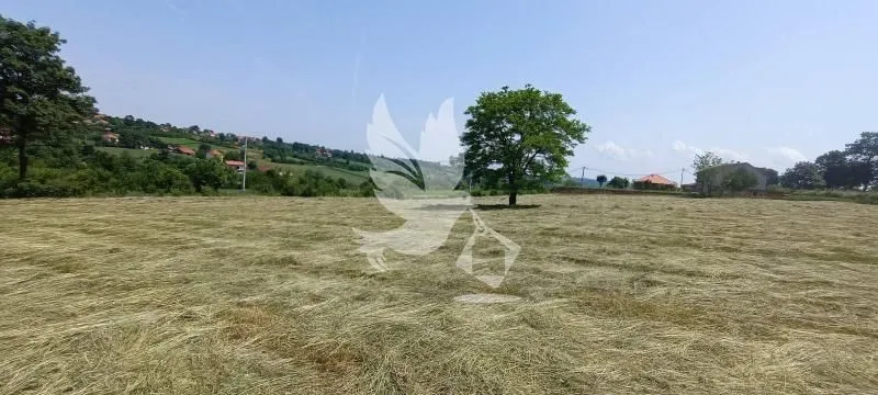 Prodaja, zemljište, 6951m2, Velika Ivanča, Mladenovac, Beograd