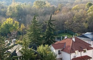 Kauf einer Wohnung mit Terrasse in Belgrad Suche nach Wohnimmobilien Auf der Su