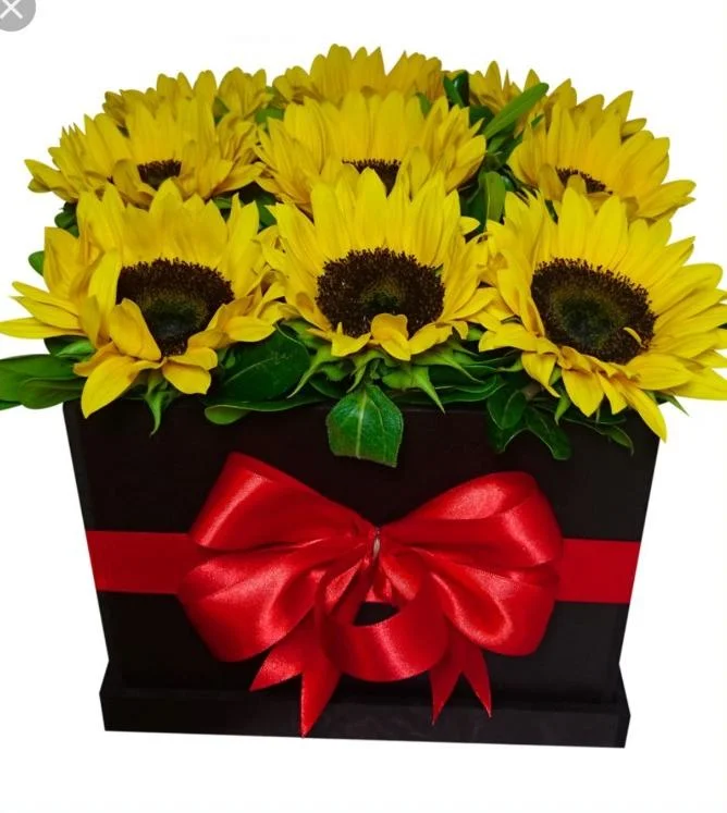 Box Of Flowers 115-SUNCOKRET U KUTIJI