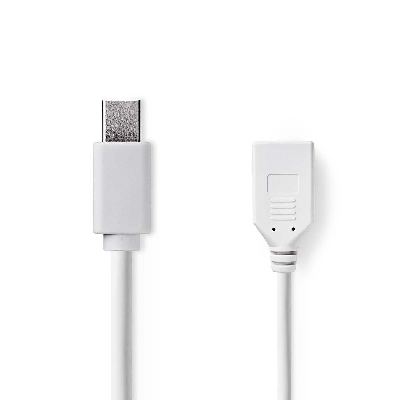 Kabl, Mini DisplayPort muçki na DisplayPort ženski, 0.2 metra