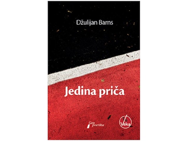 Jedina priča - Džulijan Barns