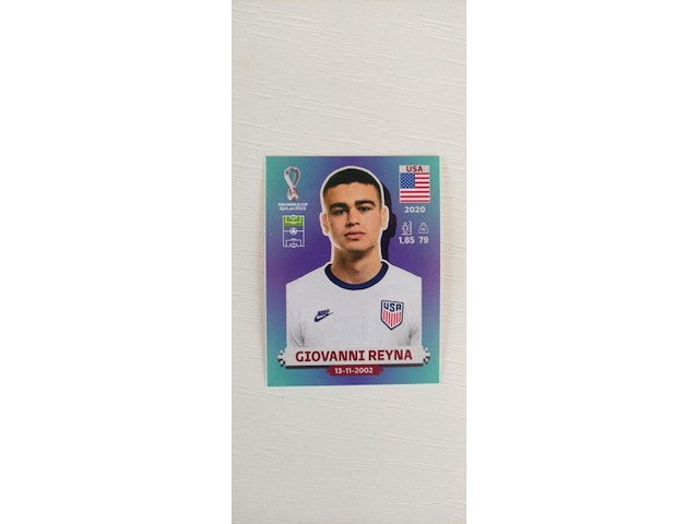 Panini FIFA 2022 international Qatar USA19