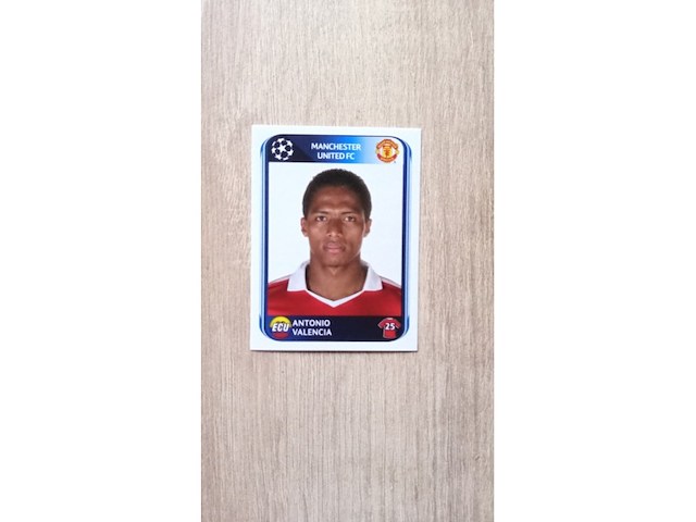 Liga šampiona 2010/11 Panini broj 153