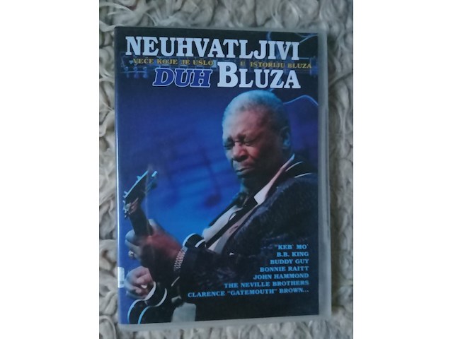 Neuhvatljivi duh bluza