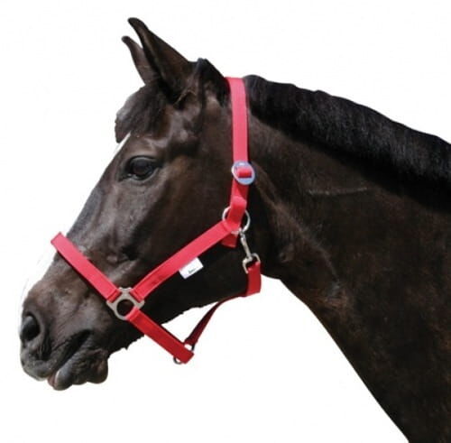 Kerbl kantar nylonowy dla koni zimnokrwistych XFull oprema za konjogojstvo