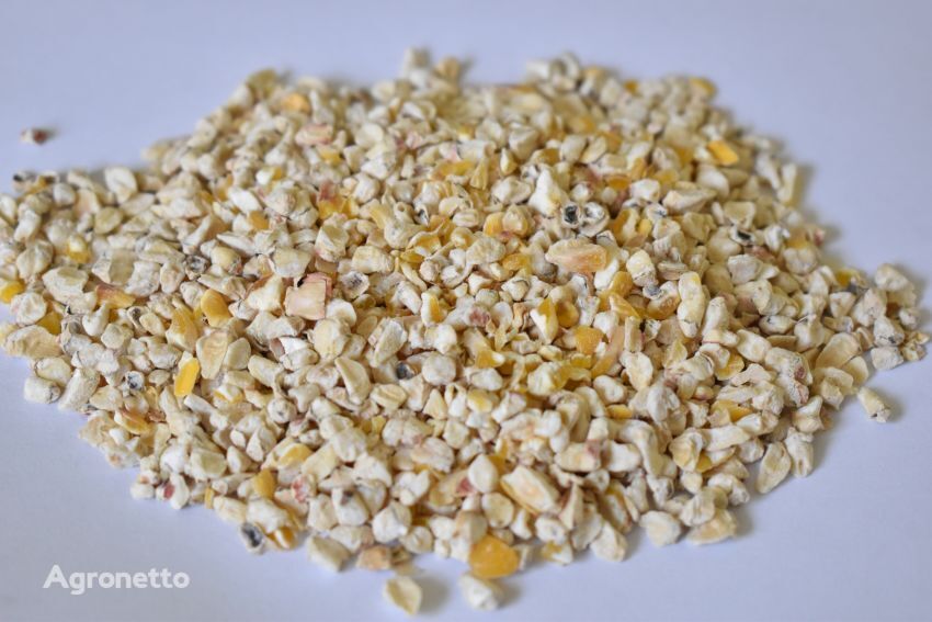 Kukuruzne klitse kao dodatak ishrani u stocharstvu