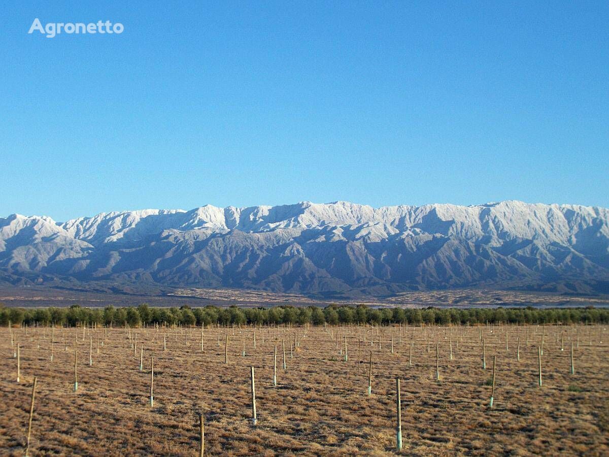 Finca Horticultura y Olivos. la Rioja. 280ha, Casa, Riego farma