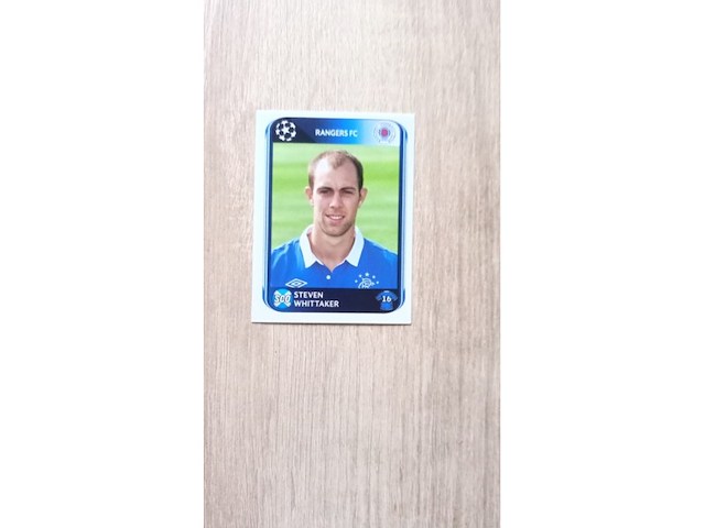 Liga šampiona 2010/11 Panini broj 181