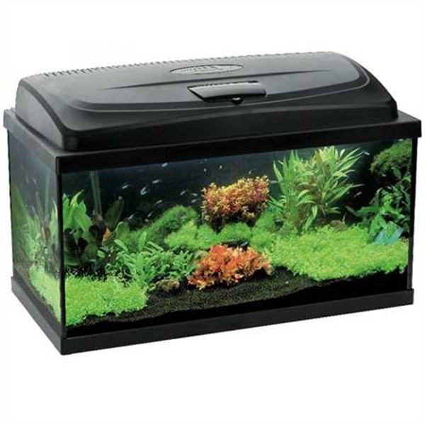 Akvarijum AquaEL Classic Box 40, 25 litara – bez dekoracije