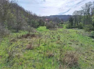 Prodaja Plac - Beočin, Rakovac