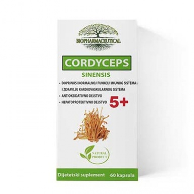 Cordyceps Sinensis 60 kapsula