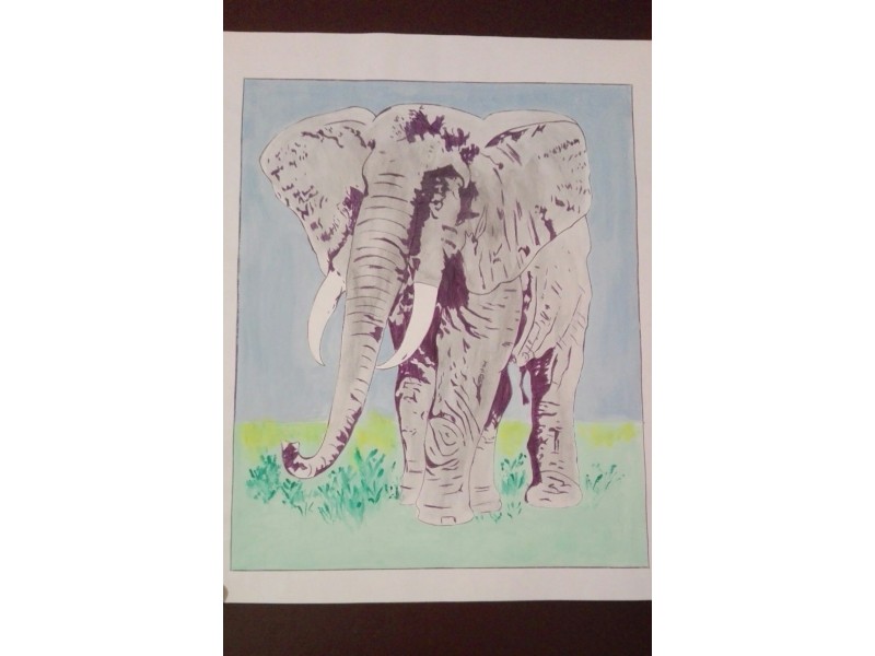 Crtež "Slon" 37x29 cm