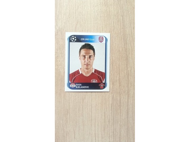 Liga šampiona 2010/11 Panini broj 342