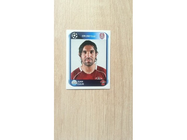 Liga šampiona 2010/11 Panini broj 338