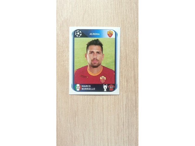 Liga šampiona 2010/11 Panini broj 310