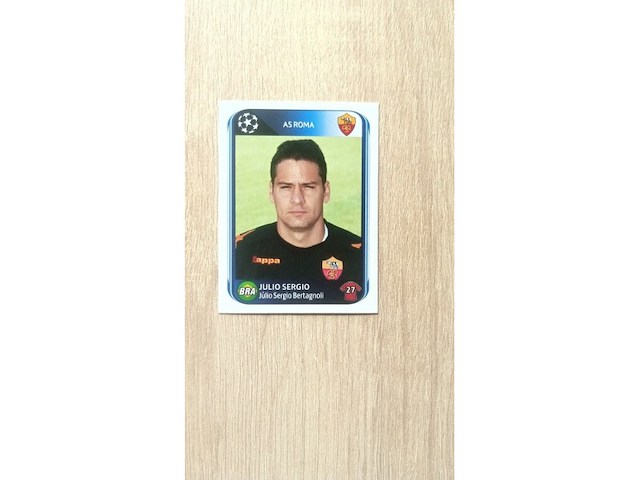 Liga šampiona 2010/11 Panini broj 295