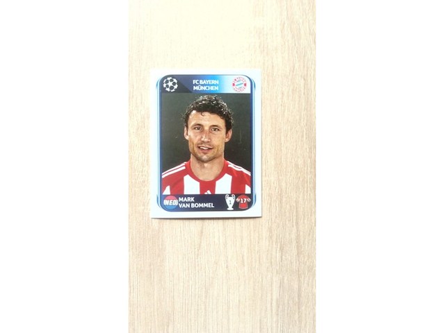 Liga šampiona 2010/11 Panini broj 285