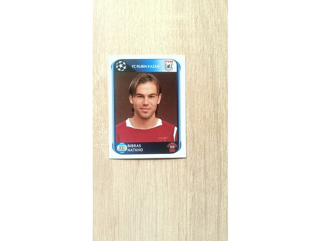 Liga šampiona 2010/11 Panini broj 269