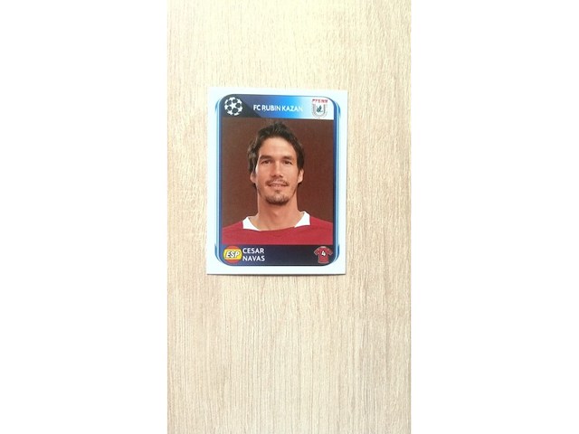 Liga šampiona 2010/11 Panini broj 263