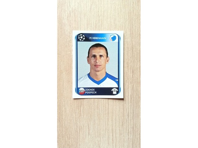 Liga šampiona 2010/11 Panini broj 245