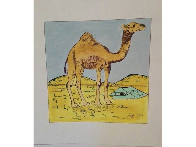 Crtež `Jednogrba kamila`