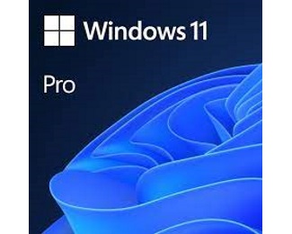 MICROSOFT - Windows 11 Pro 64bit Eng Intl OEM (FQC-10528)