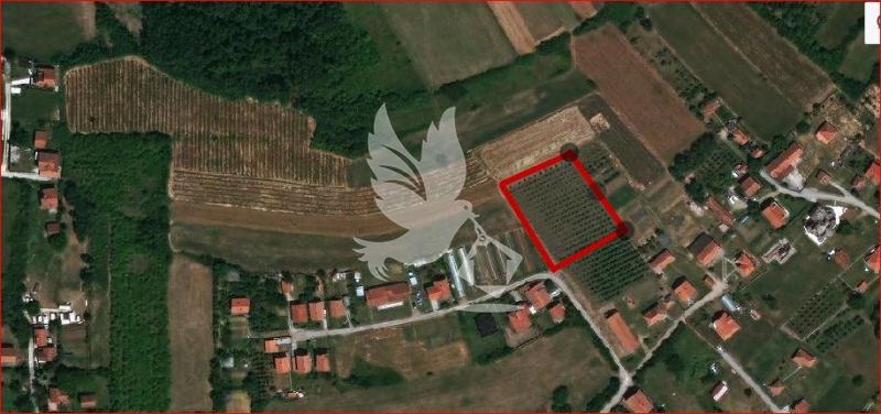 Građevinsko zemljište nedaleko od centra grada, Mladenovac #P549 ID#1307 45.000 €