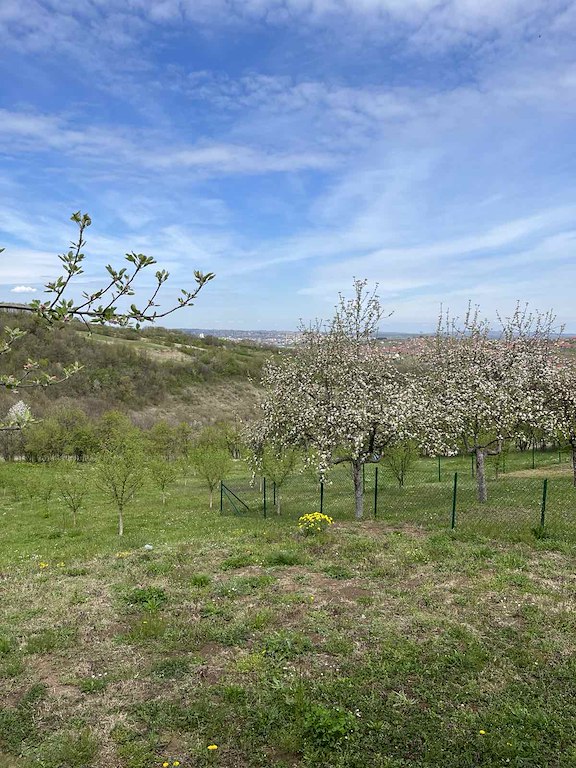 Građevinsko zemljište, Kragujevac, 29ari