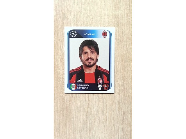 Liga šampiona 2010/11 Panini broj 421