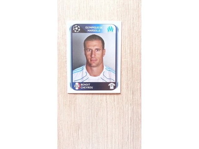 Liga šampiona 2010/11 Panini broj 370