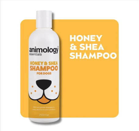 Honey & Shea šampon 250ml