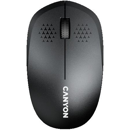 CANYON MW-04 CNS-CMSW04B