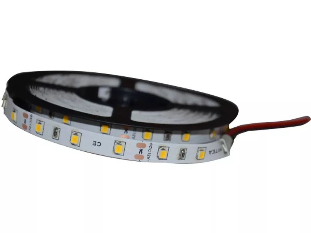 Led traka 4.8W 60LED 6500K 5m