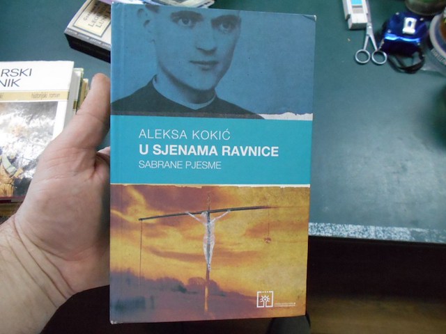 Aleksa Kokić - U sjenama ravnice