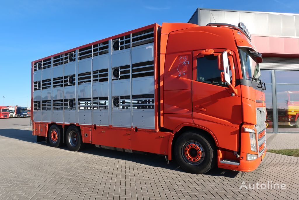 Volvo FH 460 kamion za prevoz stoke