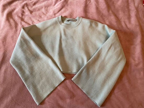 Zara crop top