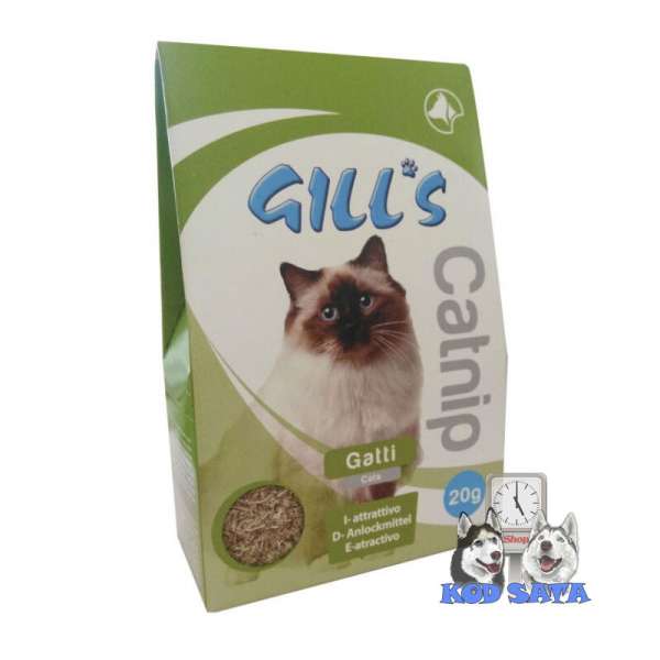 Gills Catnip Sušena Macina Trava 20g