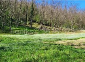 Prodaja Građevinsko zemljište - Barajevo, Lisović