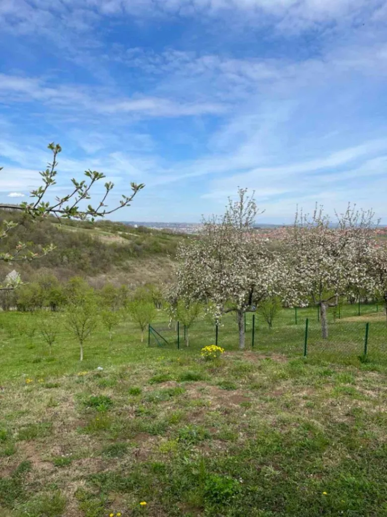 Prodaja, zemljište, 2900m2, Kragujevac