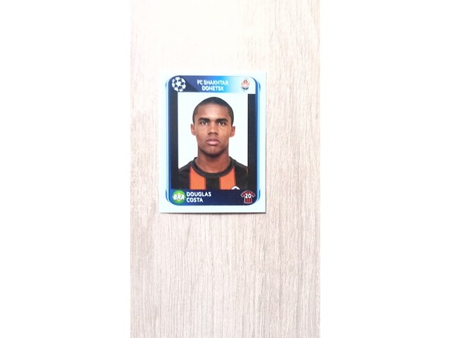 Liga šampiona 2010/11 Panini broj 509