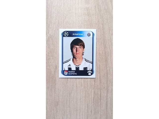 Liga šampiona 2010/11 Panini broj 546