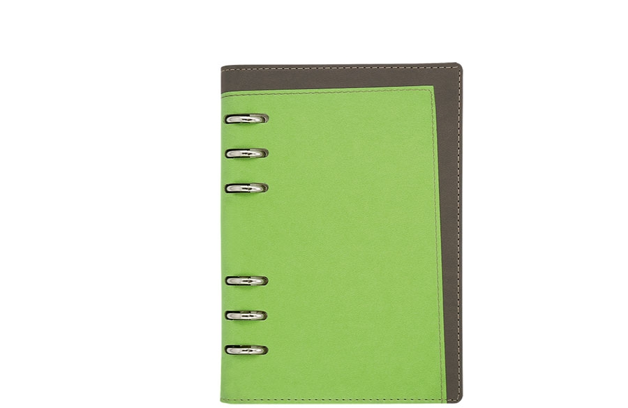 CAPITOL Agenda sa mehanizmom B6 – Lime